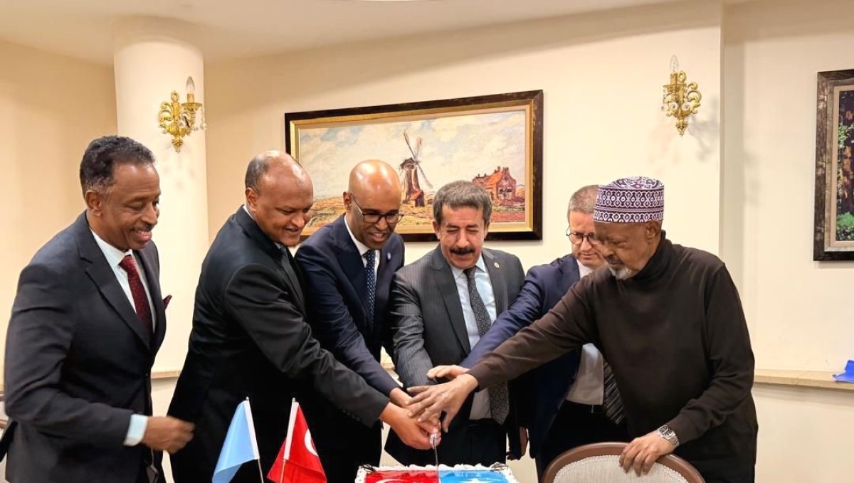 Dostluk Grubu Başkanı Fırat'tan "Türkiye, Somali'de petrol buldu ...